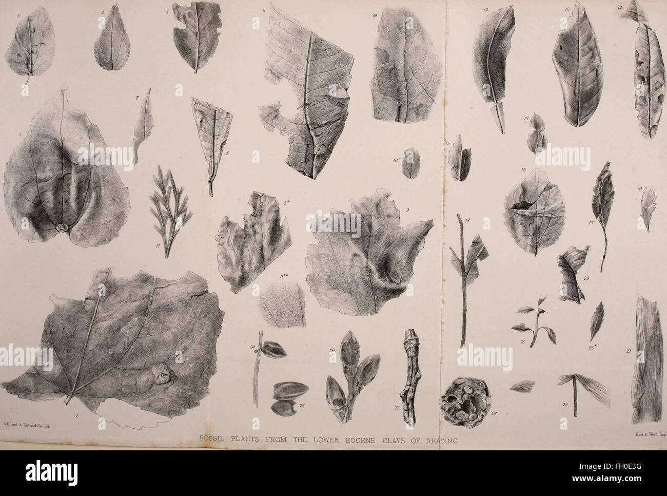 Geological map of london hi-res stock photography and images - Alamy