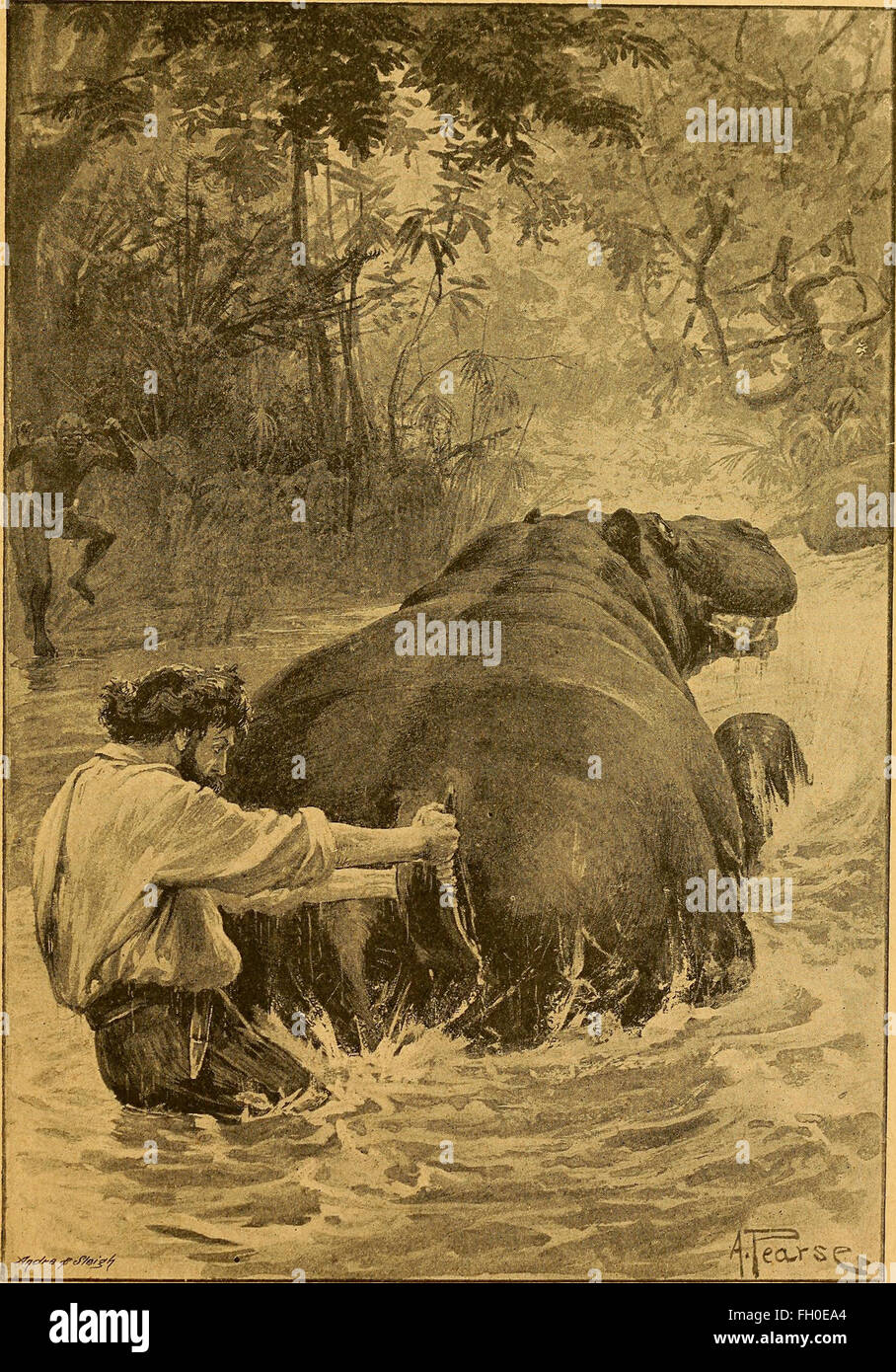 Explorers in africa hi-res stock photography and images - Alamy