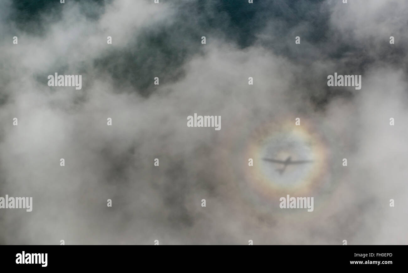 Aerial view, rainbow on a cloud, the focus shadow of the plane ...