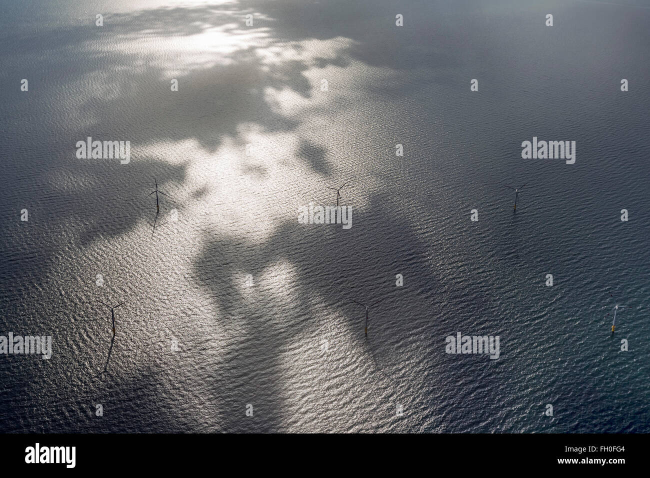 Aerial view,wind farm EnBW Baltic 1 offshore wind farm in the Baltic ...