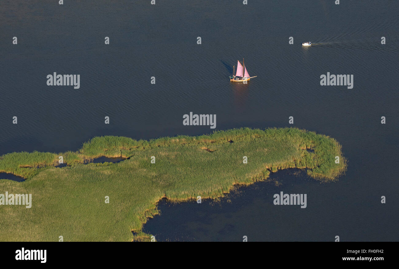 Aerial view, flatboat, Sailboat in Barth Bodden, Island Big Kirr, Barth ...