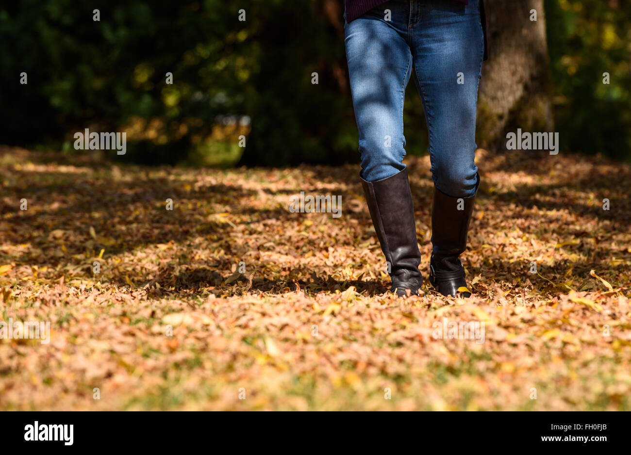 Woman walking through fall leaves, legs and feet only Stock Photo - Alamy