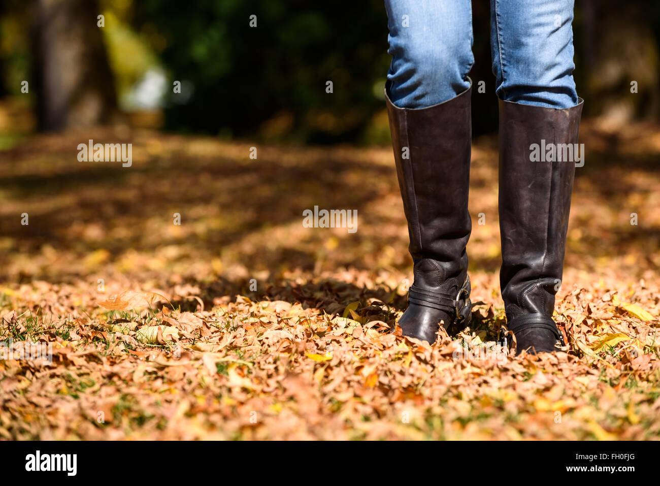 Woman walking through fall leaves, legs and feet only Stock Photo - Alamy