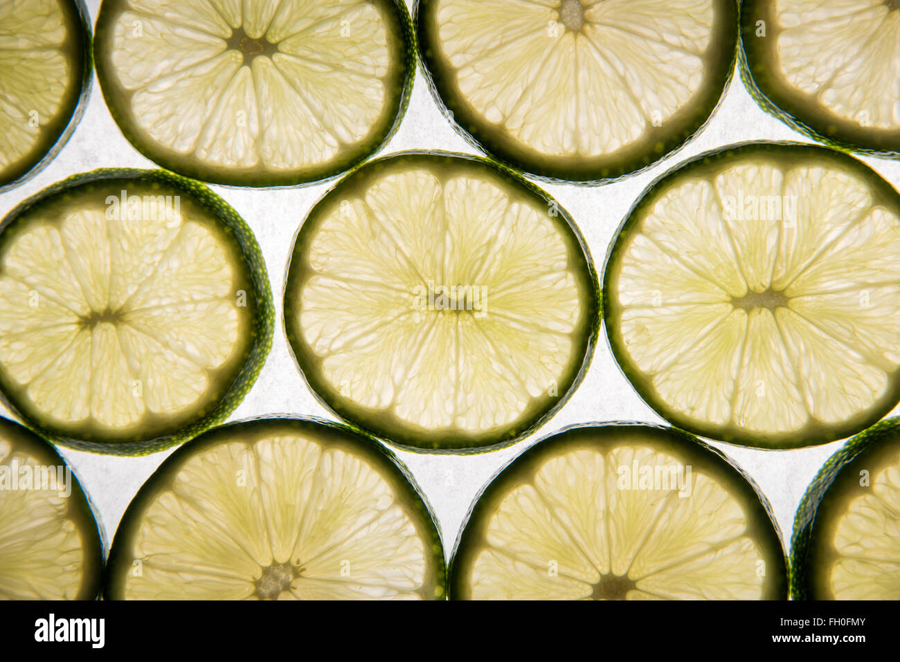 Lime slices on parchment paper, backlit and glowing Stock Photo - Alamy
