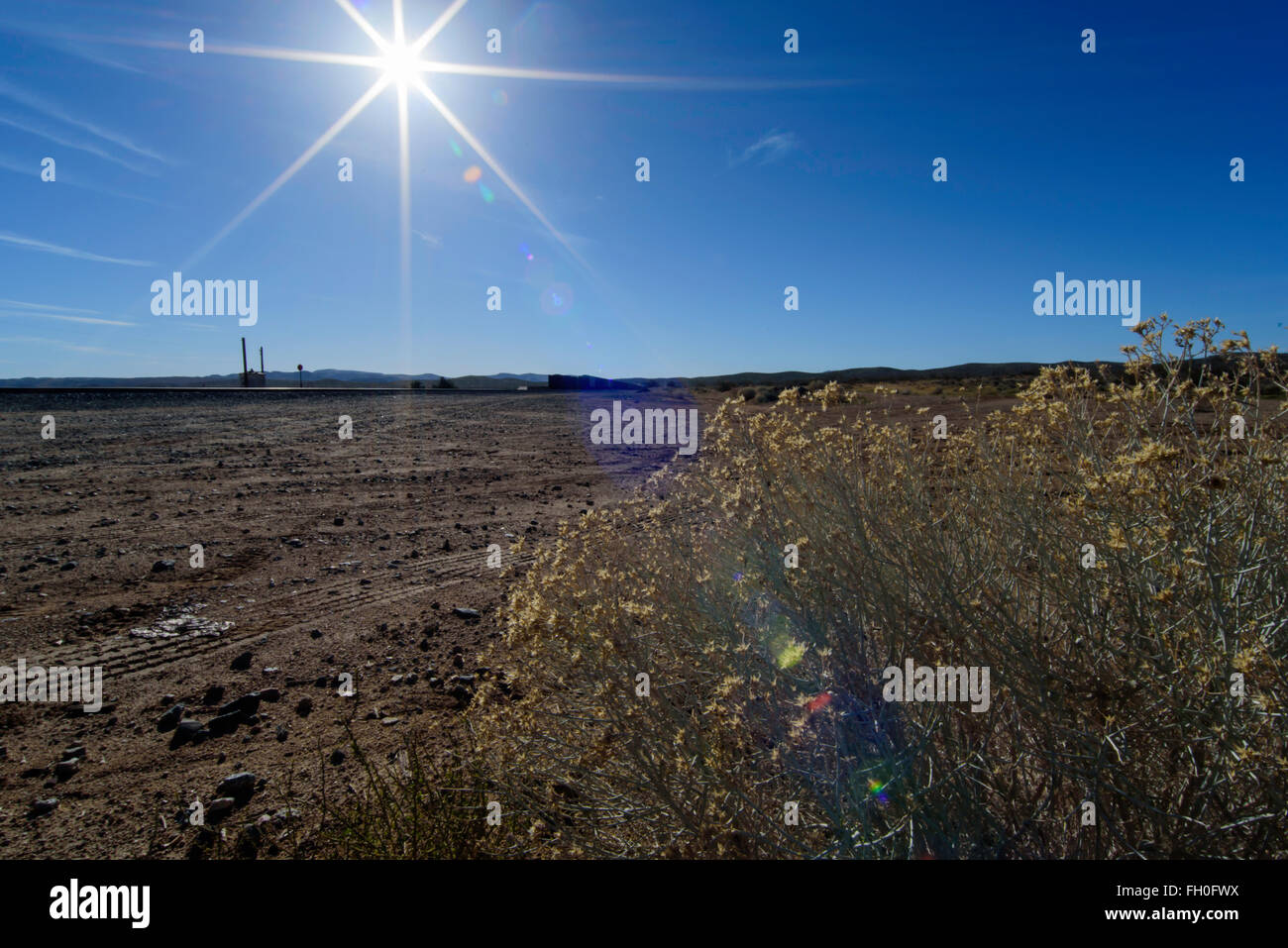 Under the hot desert sun Stock Photo - Alamy