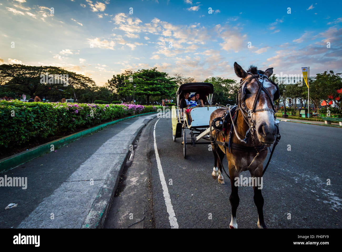 Philippines horse carriage hi-res stock photography and images - Alamy