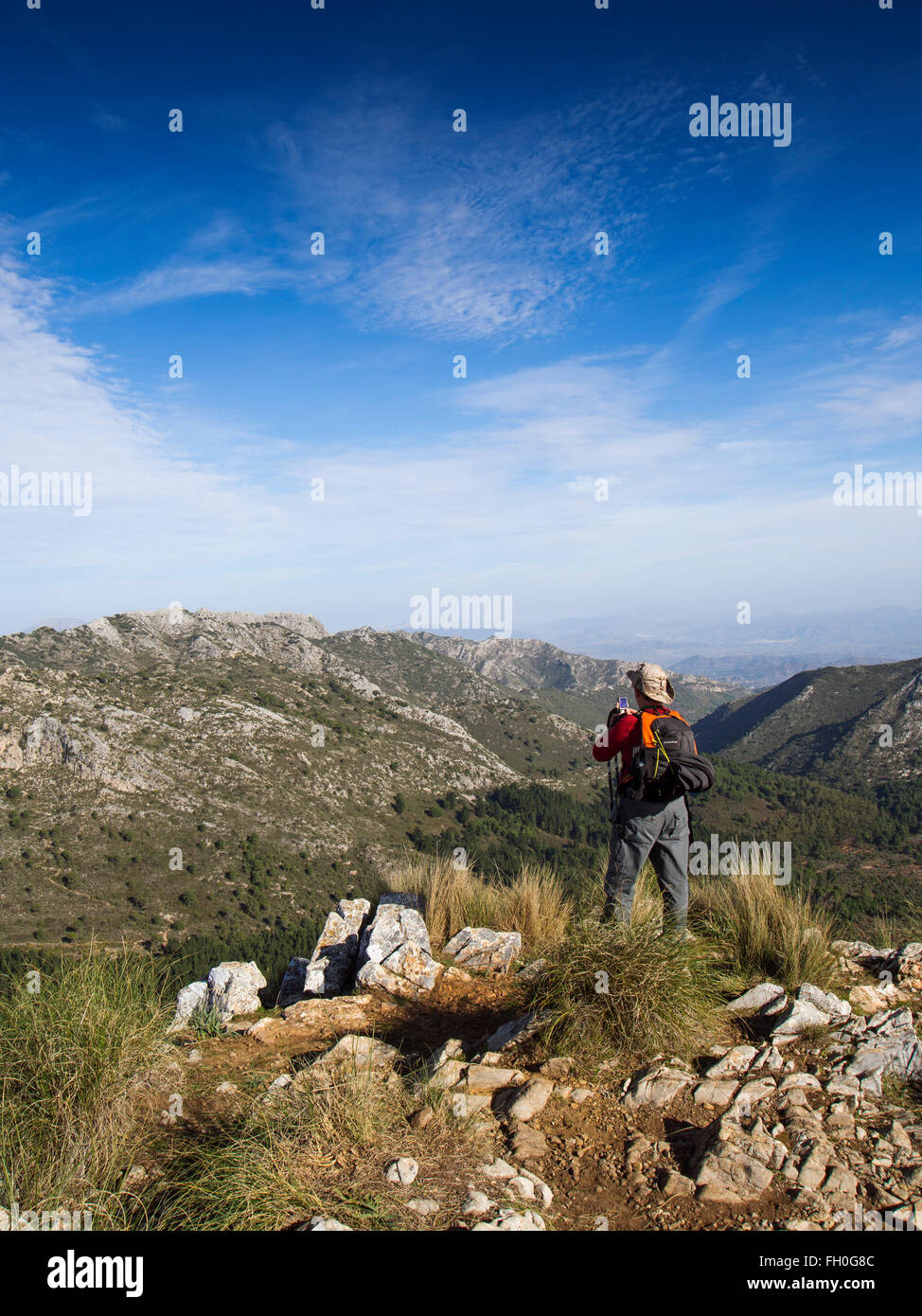 Tree sierra blanca country hi-res stock photography and images - Alamy