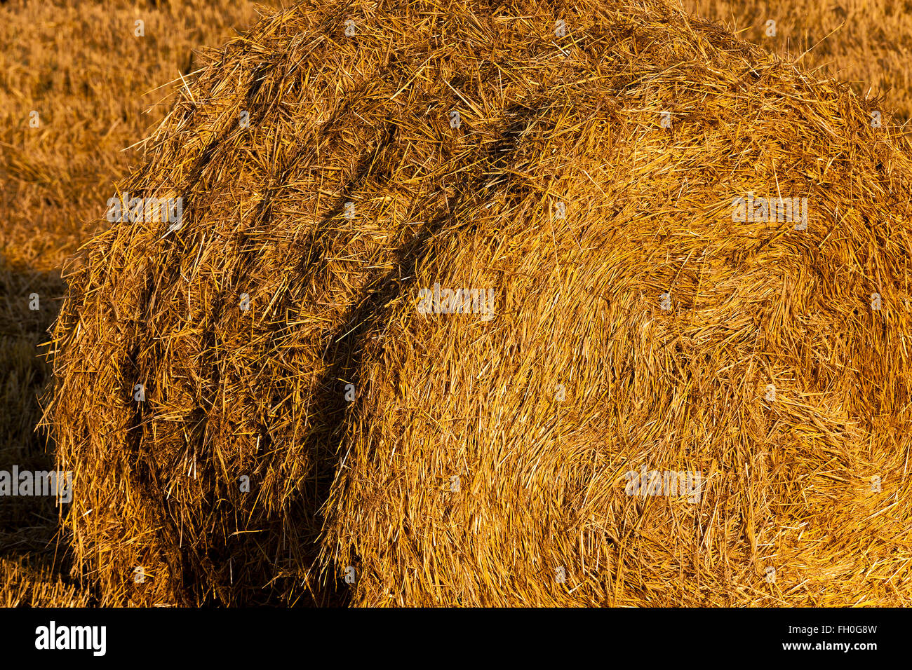 Stack of straw Stock Photo - Alamy