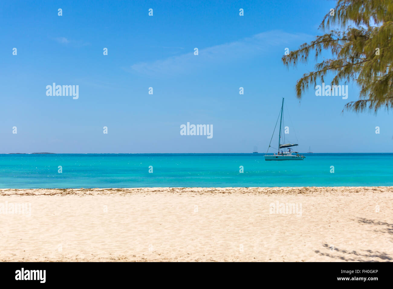 Catamaran at the beach Stock Photo - Alamy