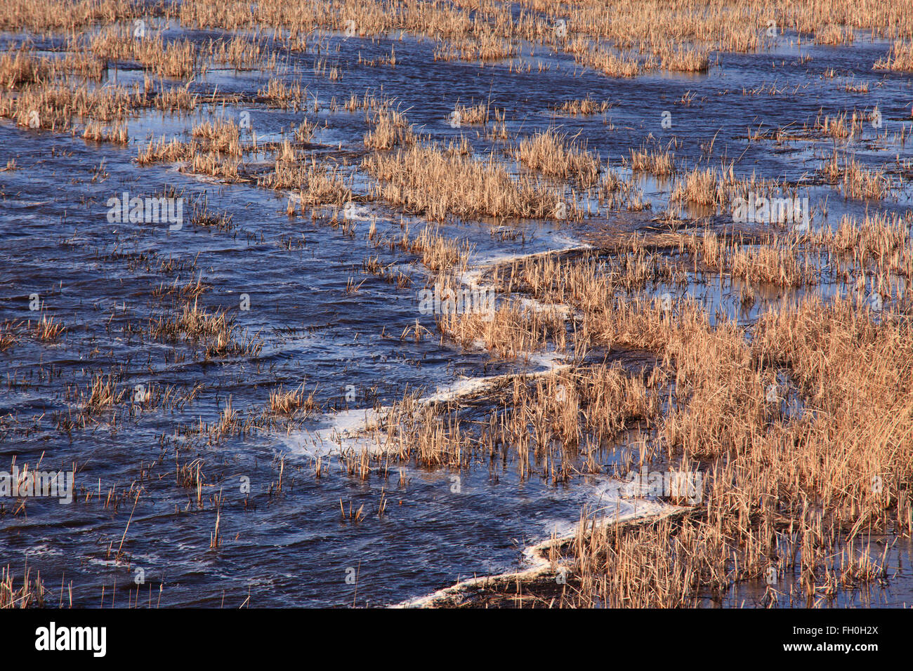 A salt marsh in northern Massachusetts Stock Photo - Alamy