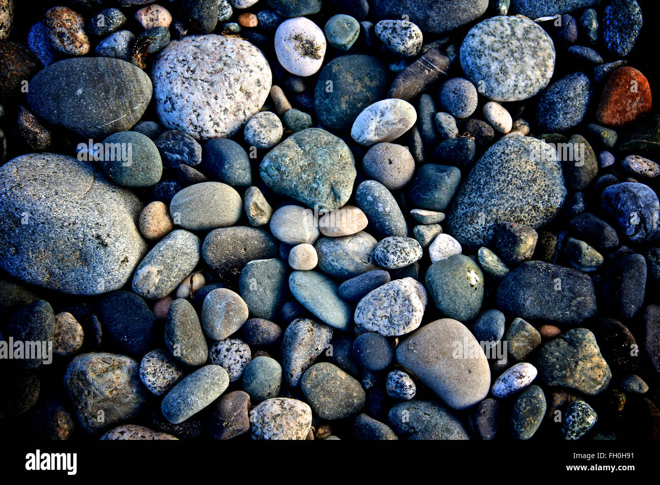 Multicolored rocks on beach in Pacific Northwest Stock Photo - Alamy