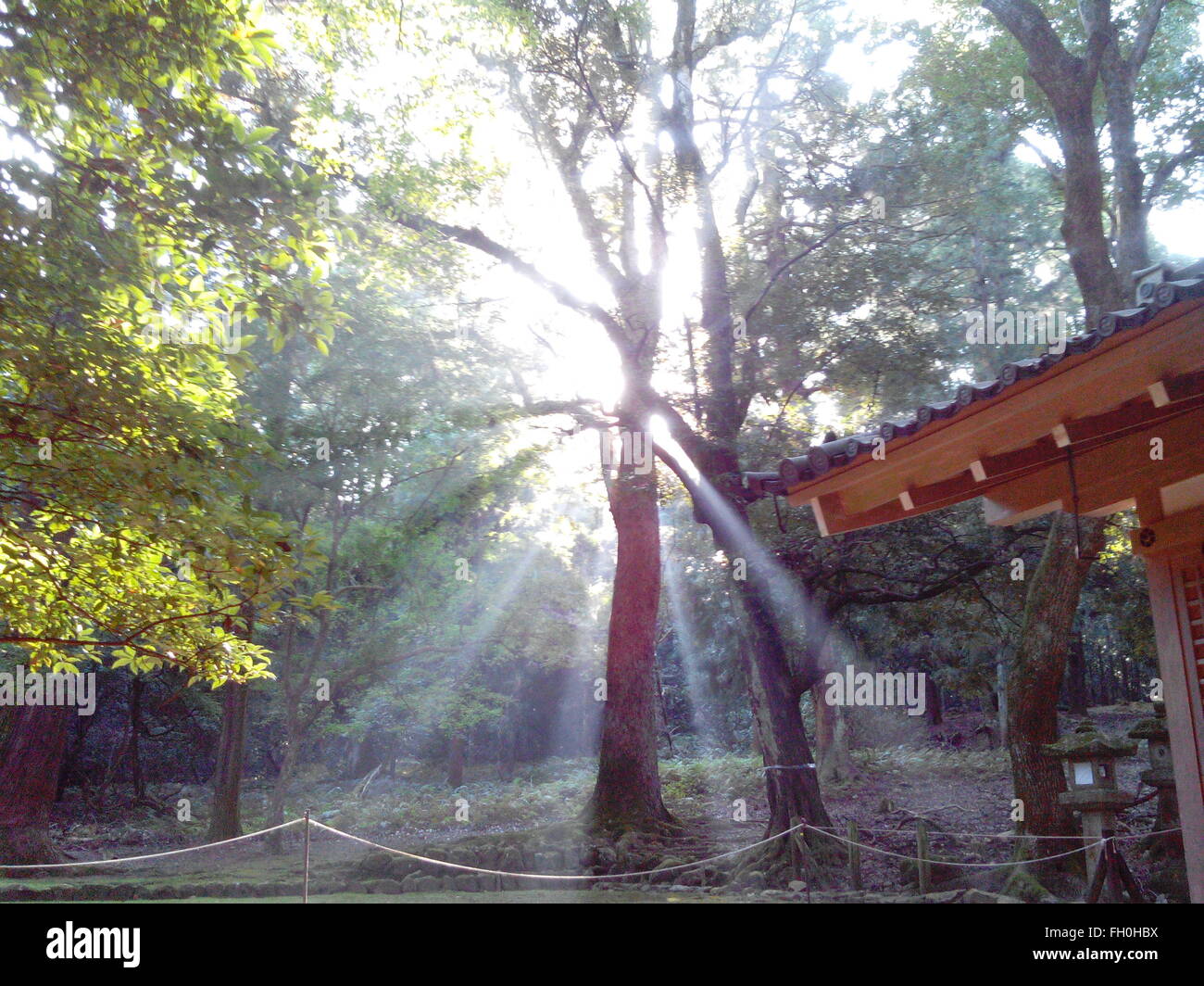 Light Rays in Japan Stock Photo - Alamy