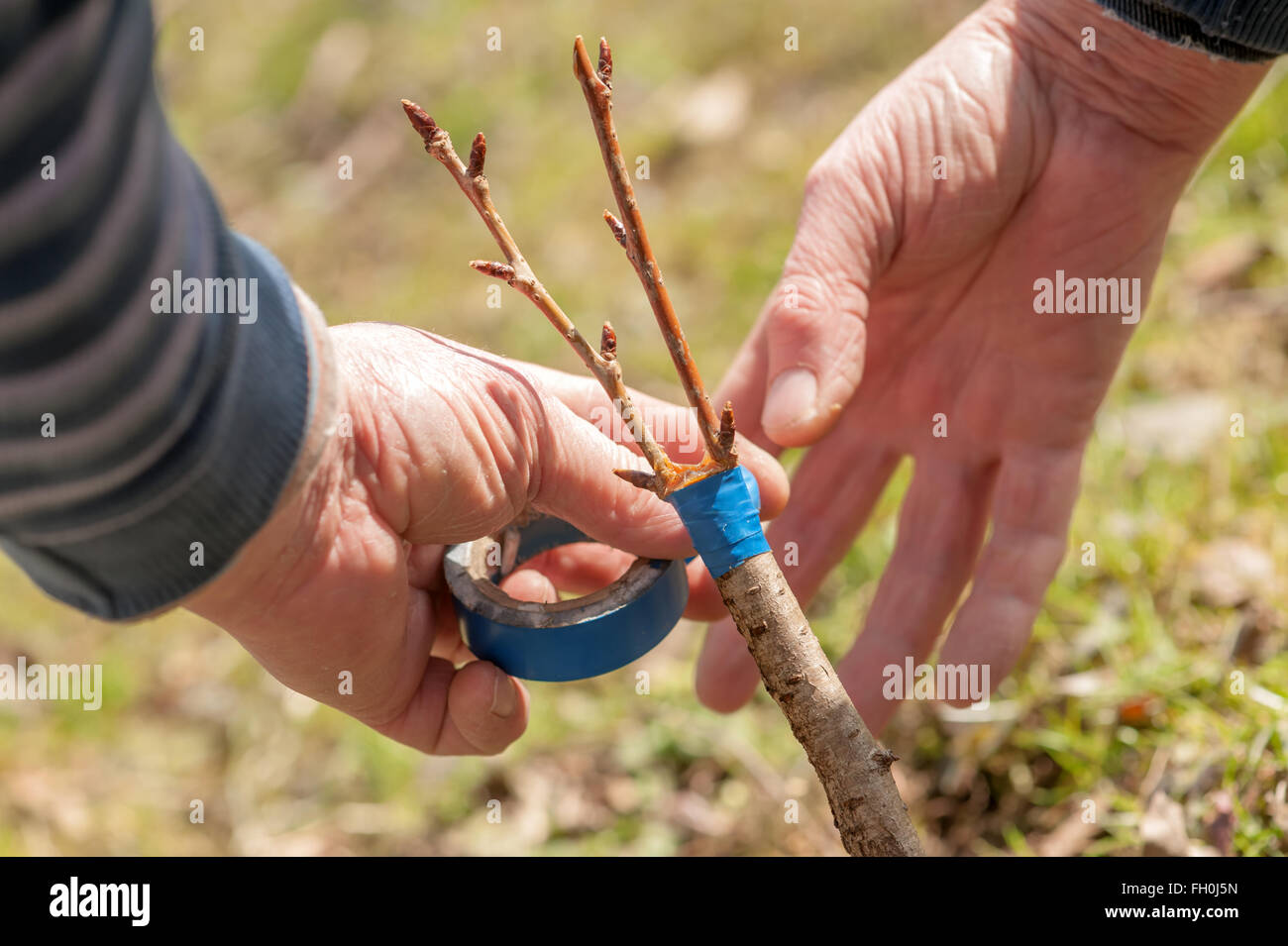 Work all the time hi-res stock photography and images - Alamy