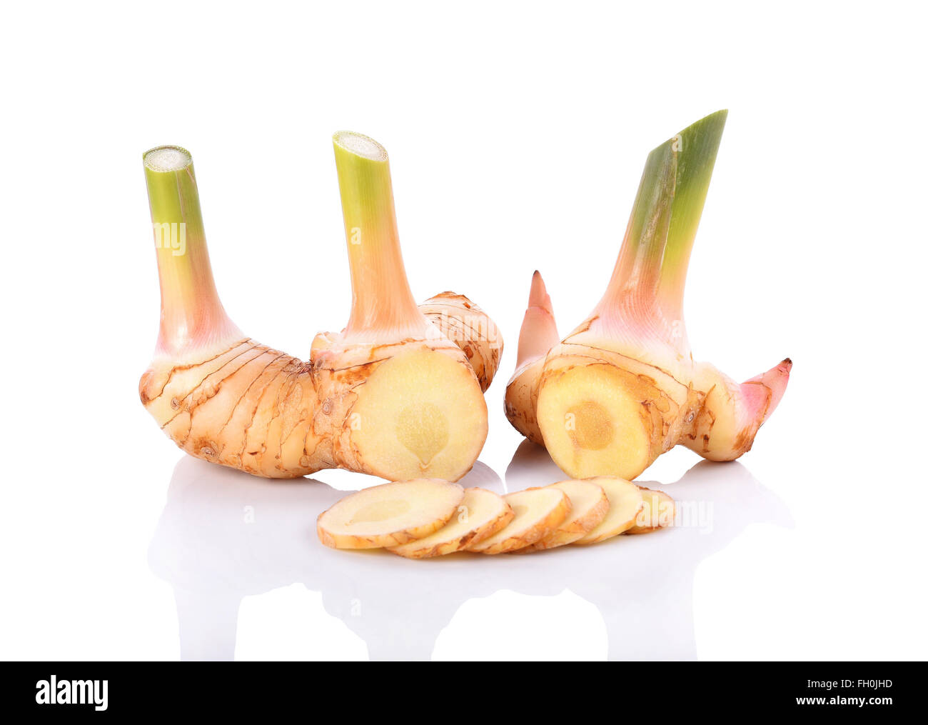 Galangal plant hi-res stock photography and images - Alamy