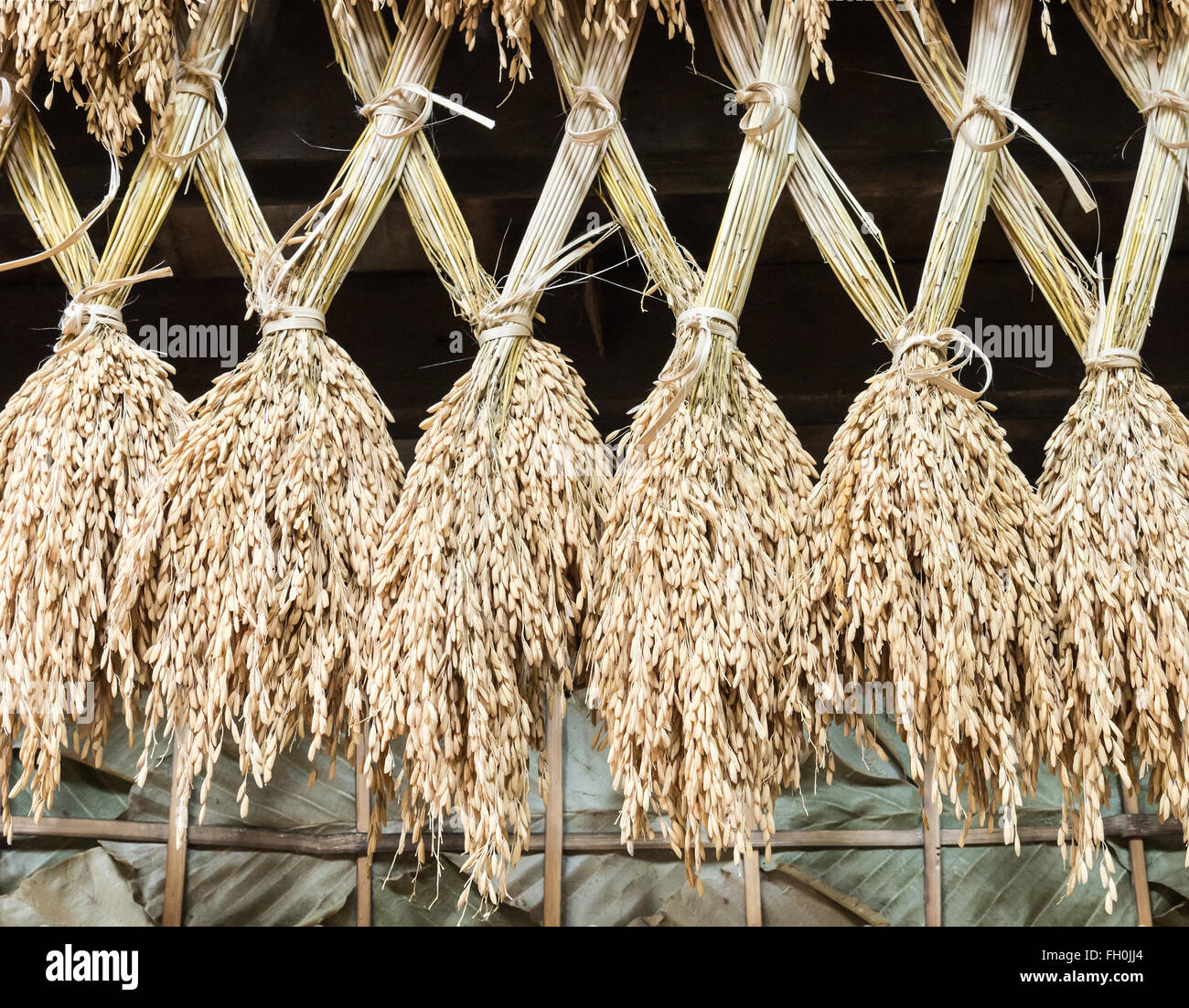 Hanging rice hi-res stock photography and images - Alamy