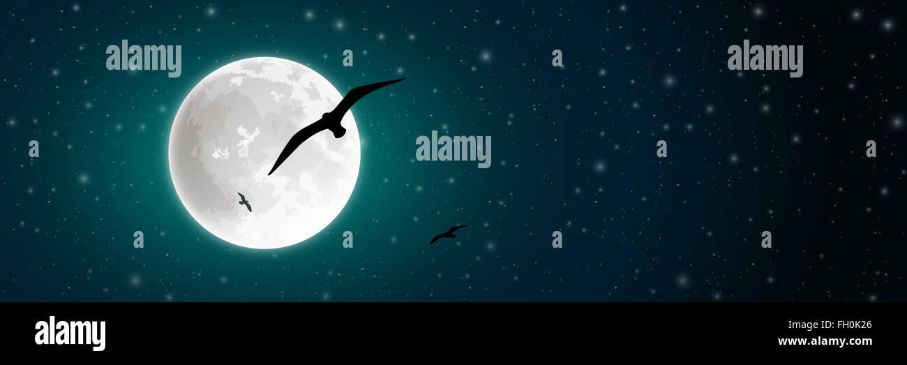 Moon Bird Night High Resolution Stock Photography and Images - Alamy