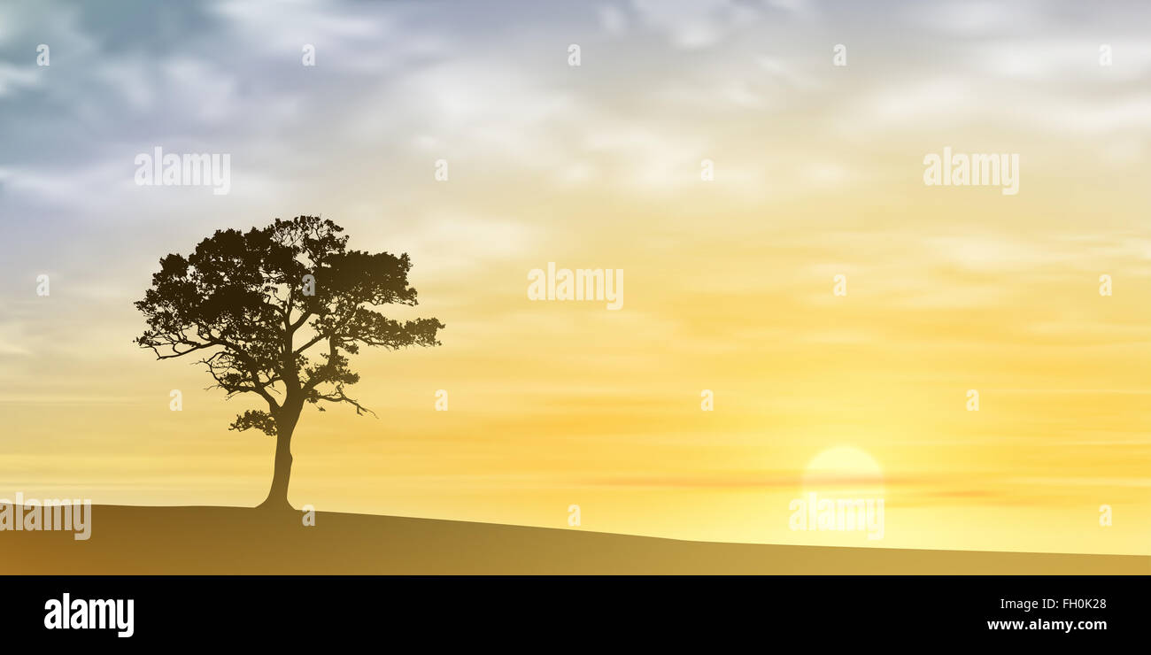 A Lone Tree with Misty Sunset, Sunrise Stock Photo - Alamy