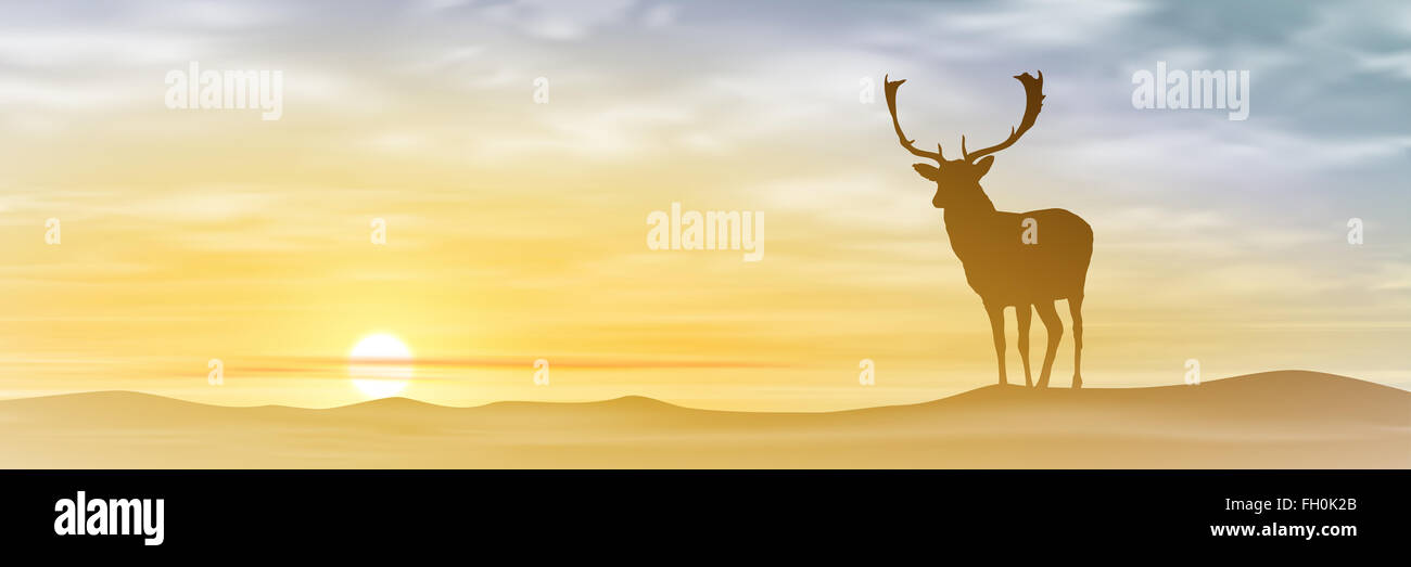 Male Stag Deer with Misty Sunset, Sunrise Stock Photo - Alamy
