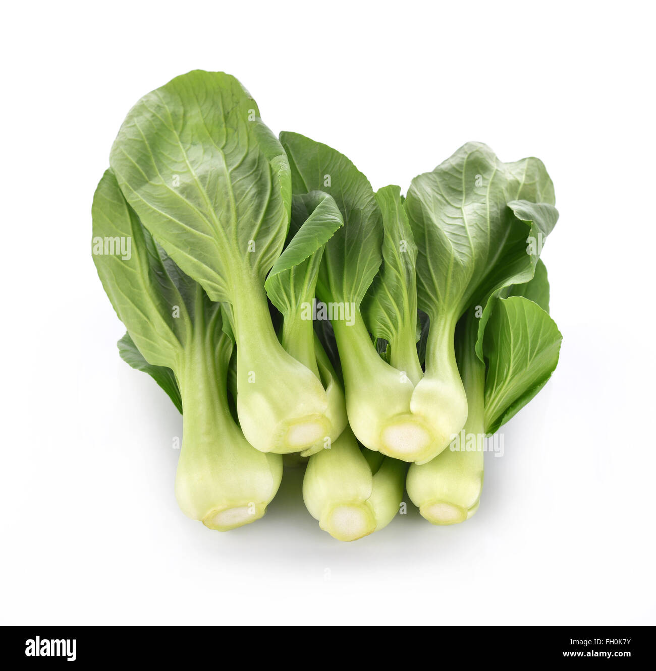 Bok choy plant hi-res stock photography and images - Alamy