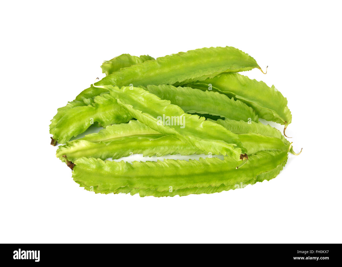 Winged bean hi-res stock photography and images - Alamy