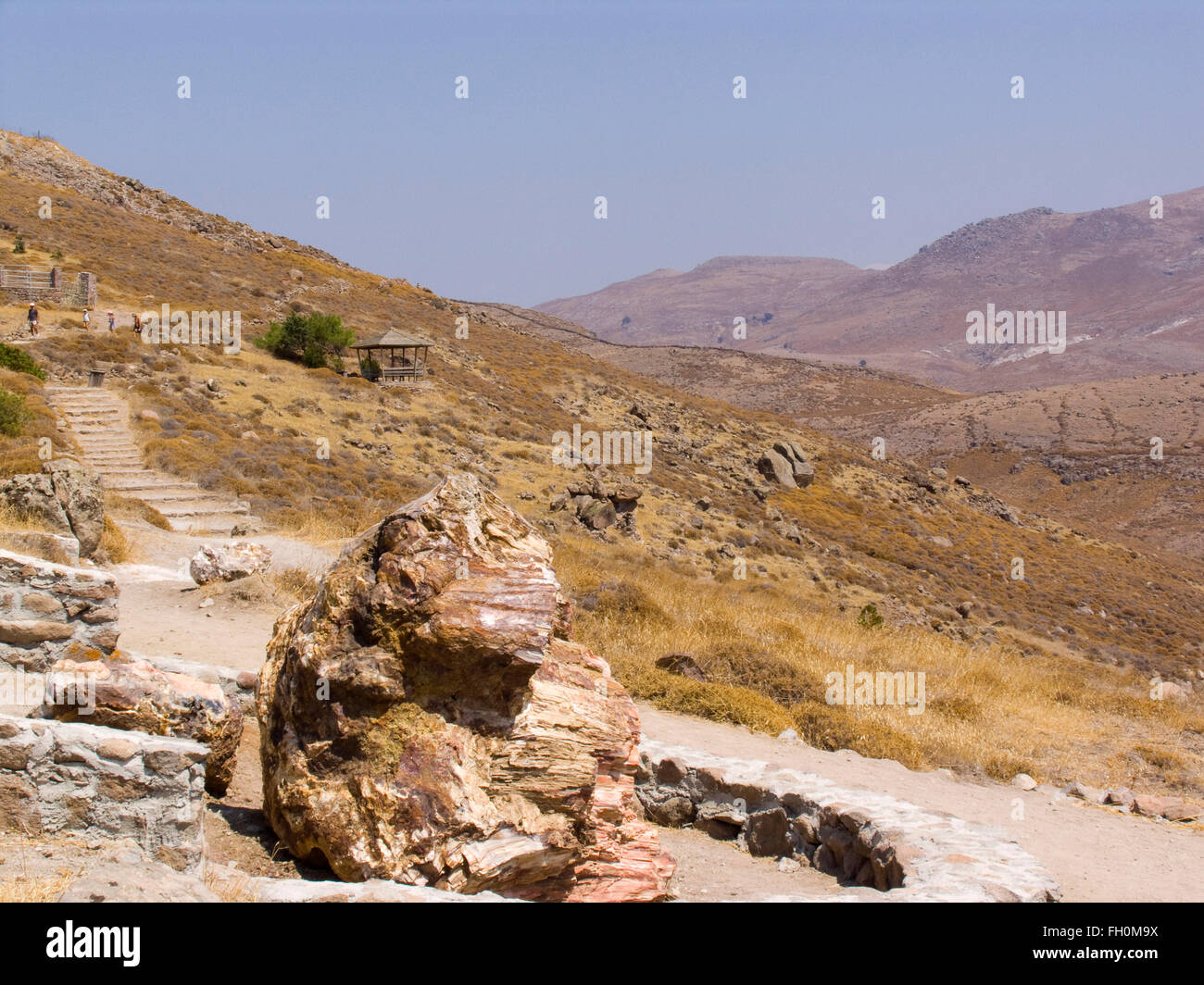 petrified forest, lesbos island, north west aegean, greece, europe ...