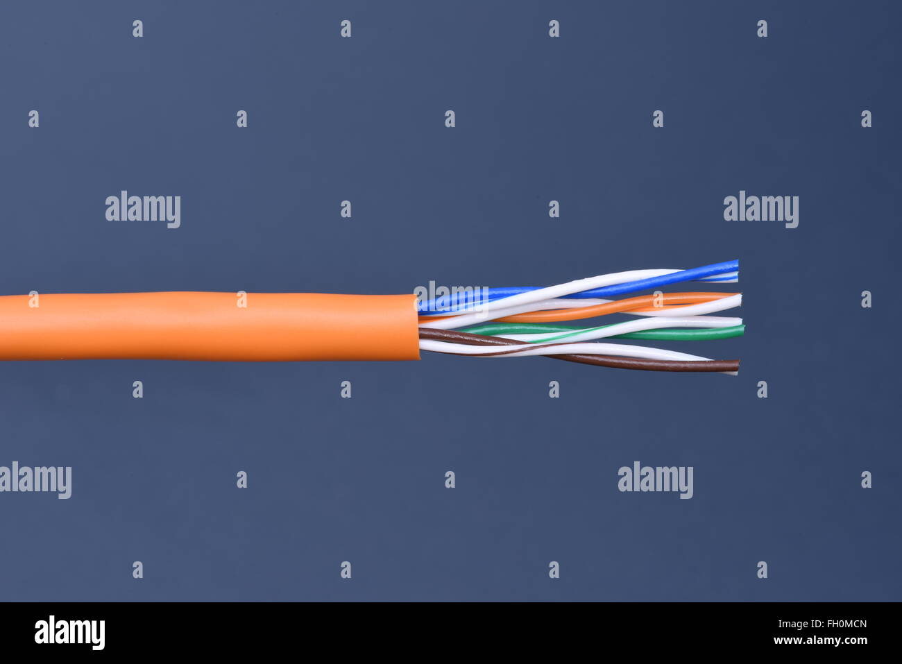 Closeup of stripped computer network cable Stock Photo - Alamy