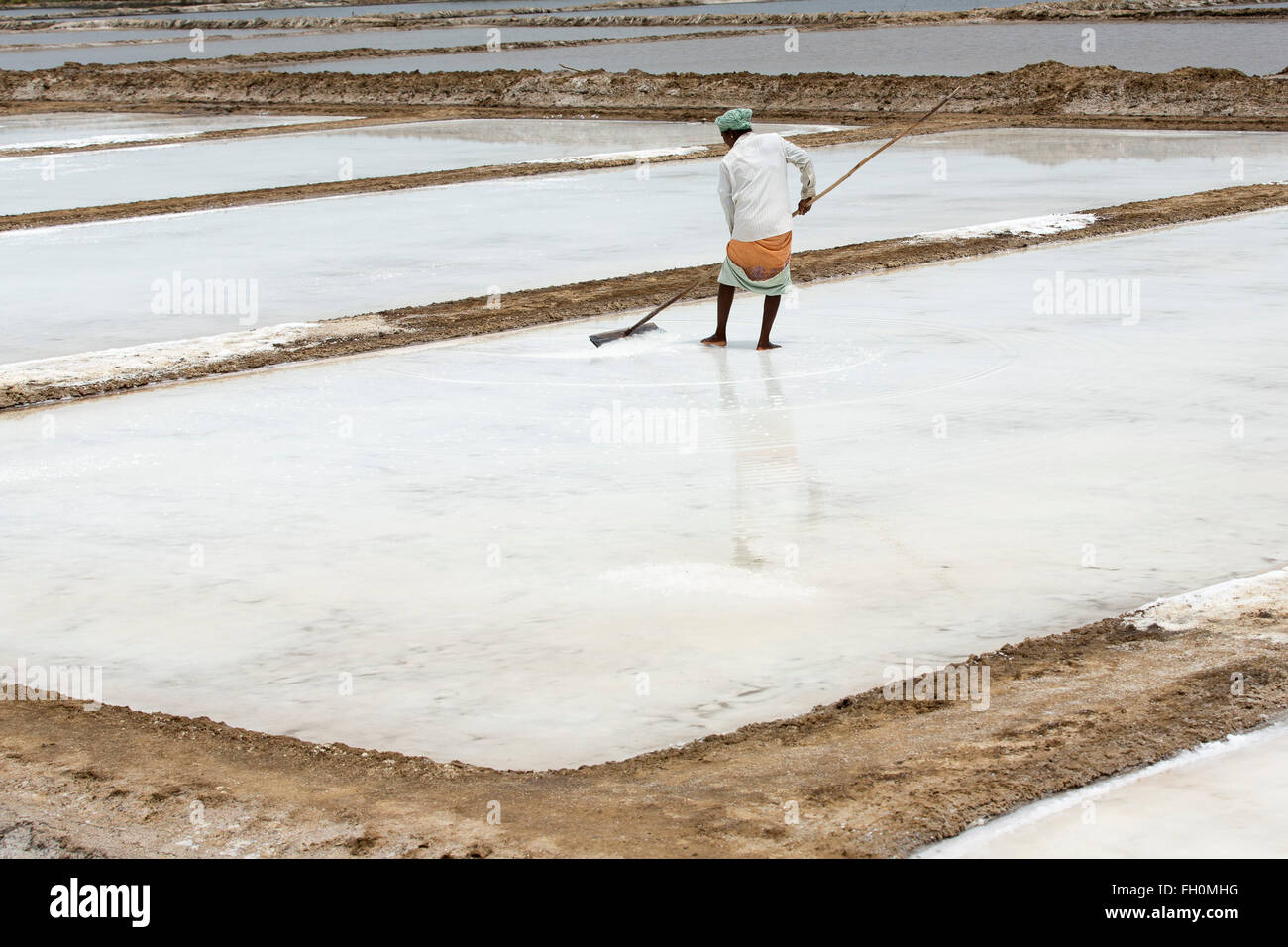Agricultur wokers in salt field, India Tamil Nadu Pondicherry aera ...