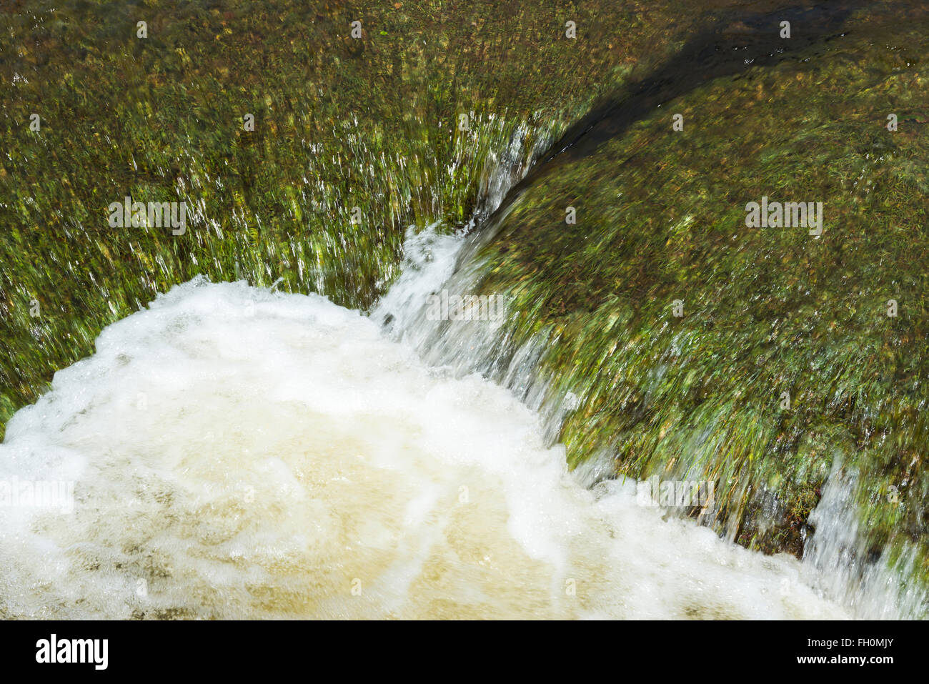 Brook with green vegetation on rocks and clear, fast flowing wwater ...