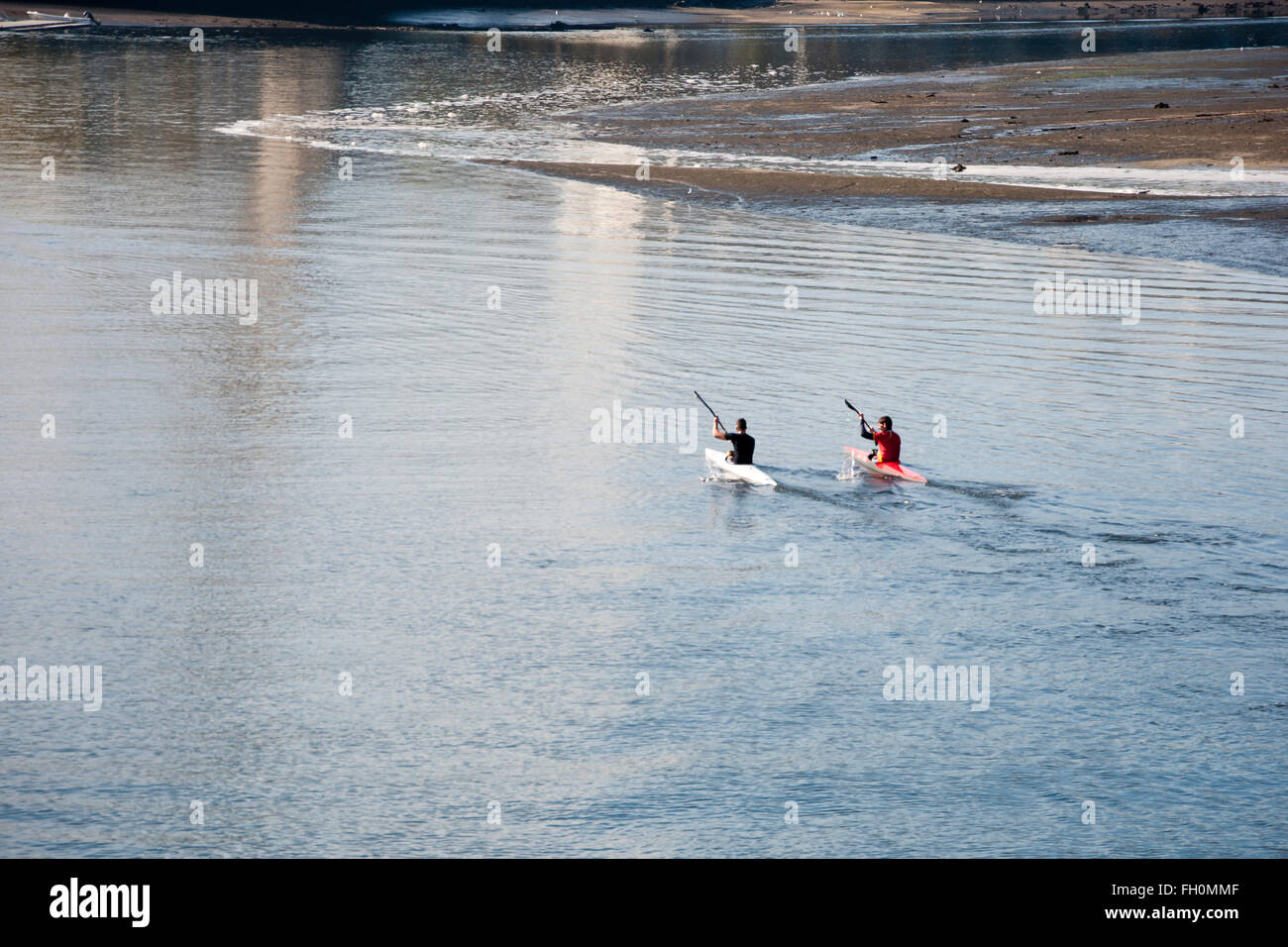 Rowing in the ria of Pontevedra, Galicia, Spain Stock Photo - Alamy