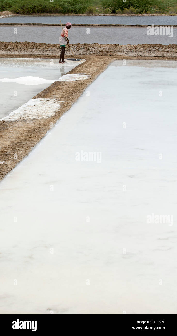 Pond aera hi-res stock photography and images - Alamy