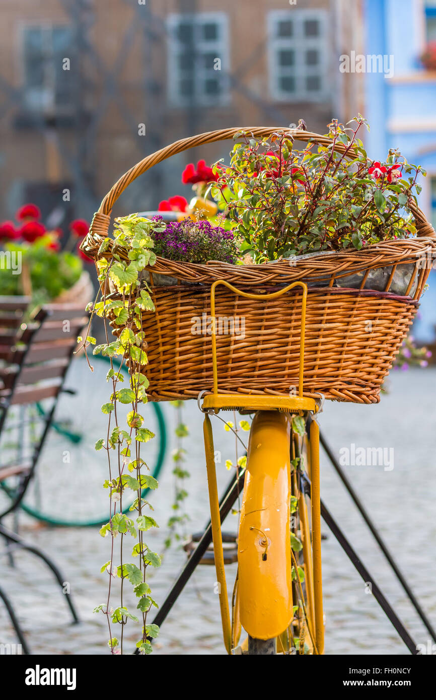 Flowers on a Bicycle Stock Photo - Alamy