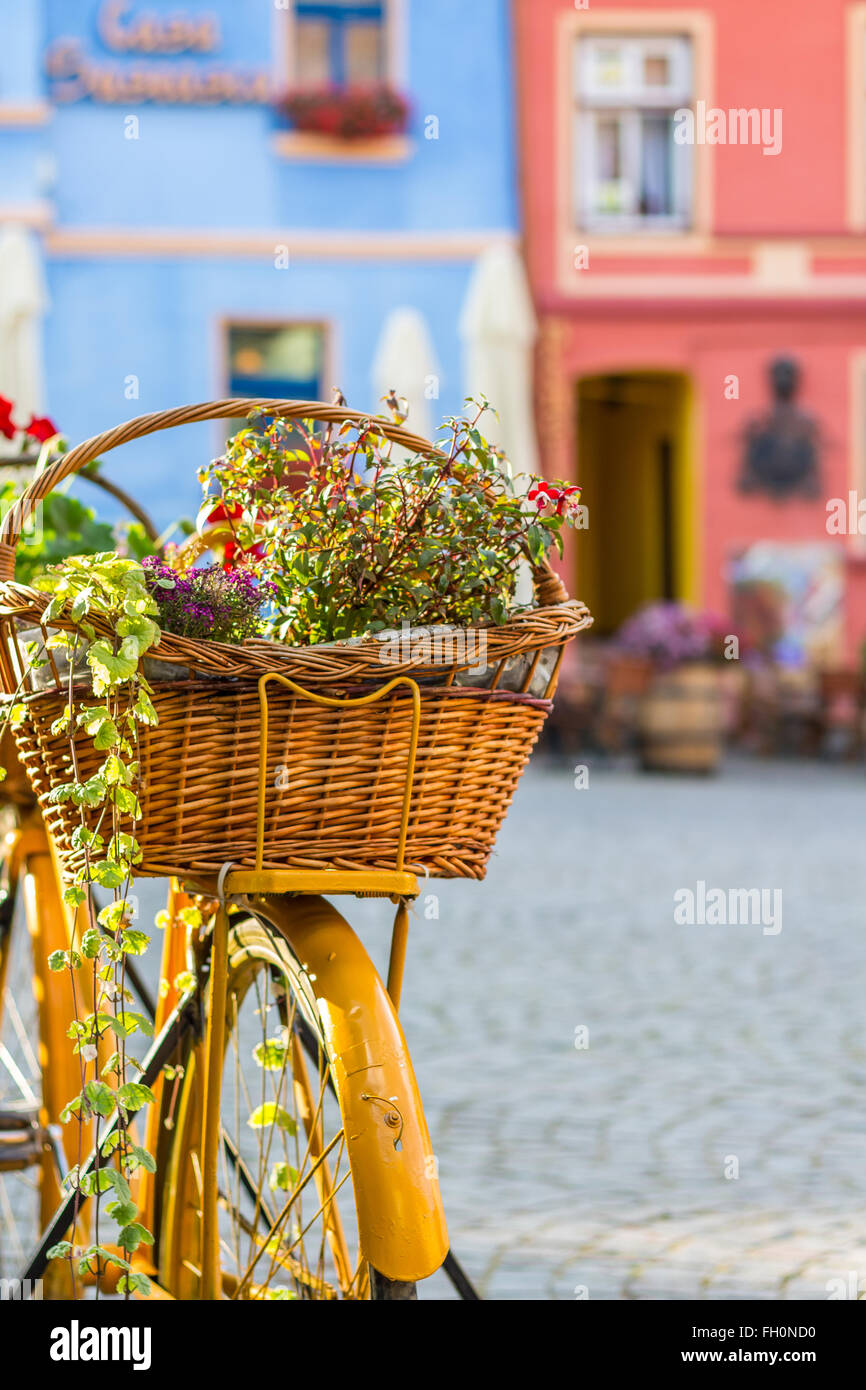 Flowers on a Bicycle Stock Photo - Alamy