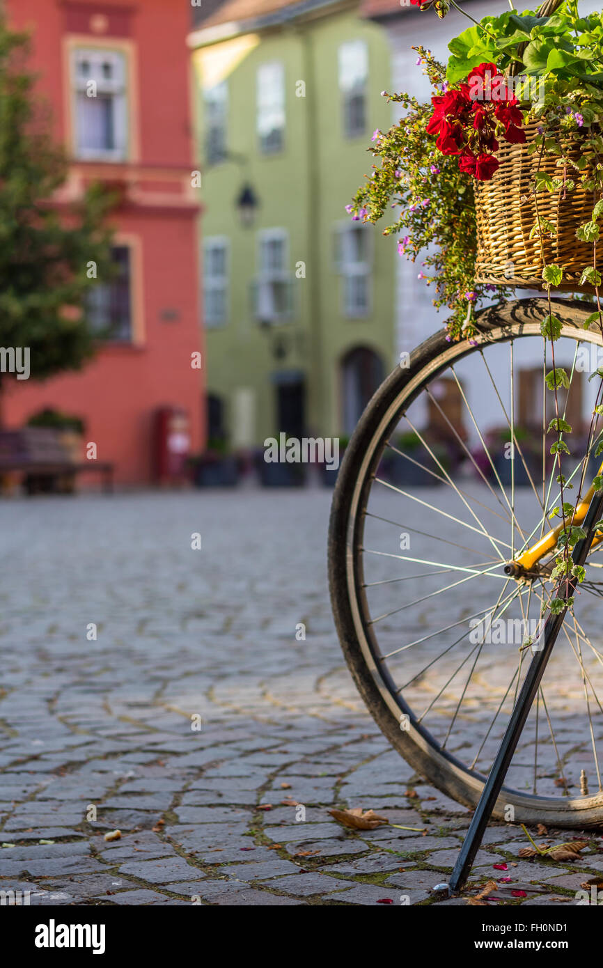 Flowers on a Bicycle Stock Photo - Alamy