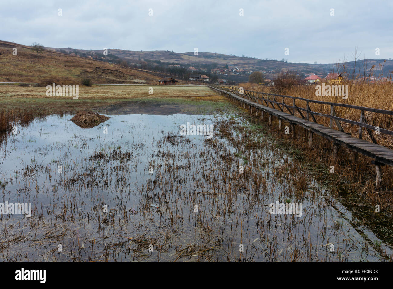 Reed pathway hi-res stock photography and images - Alamy