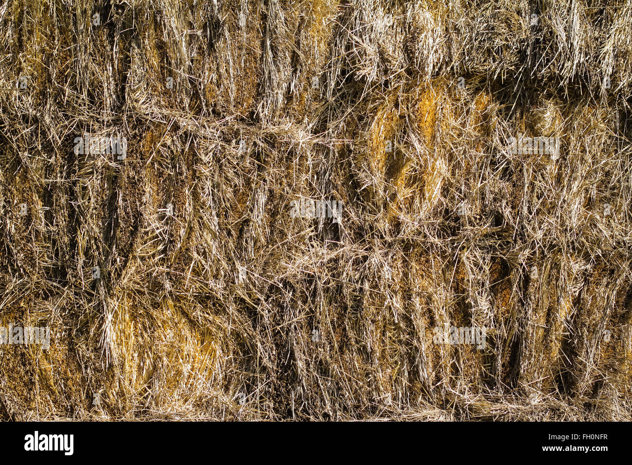 Stack of golden hay in barn Stock Photo - Alamy