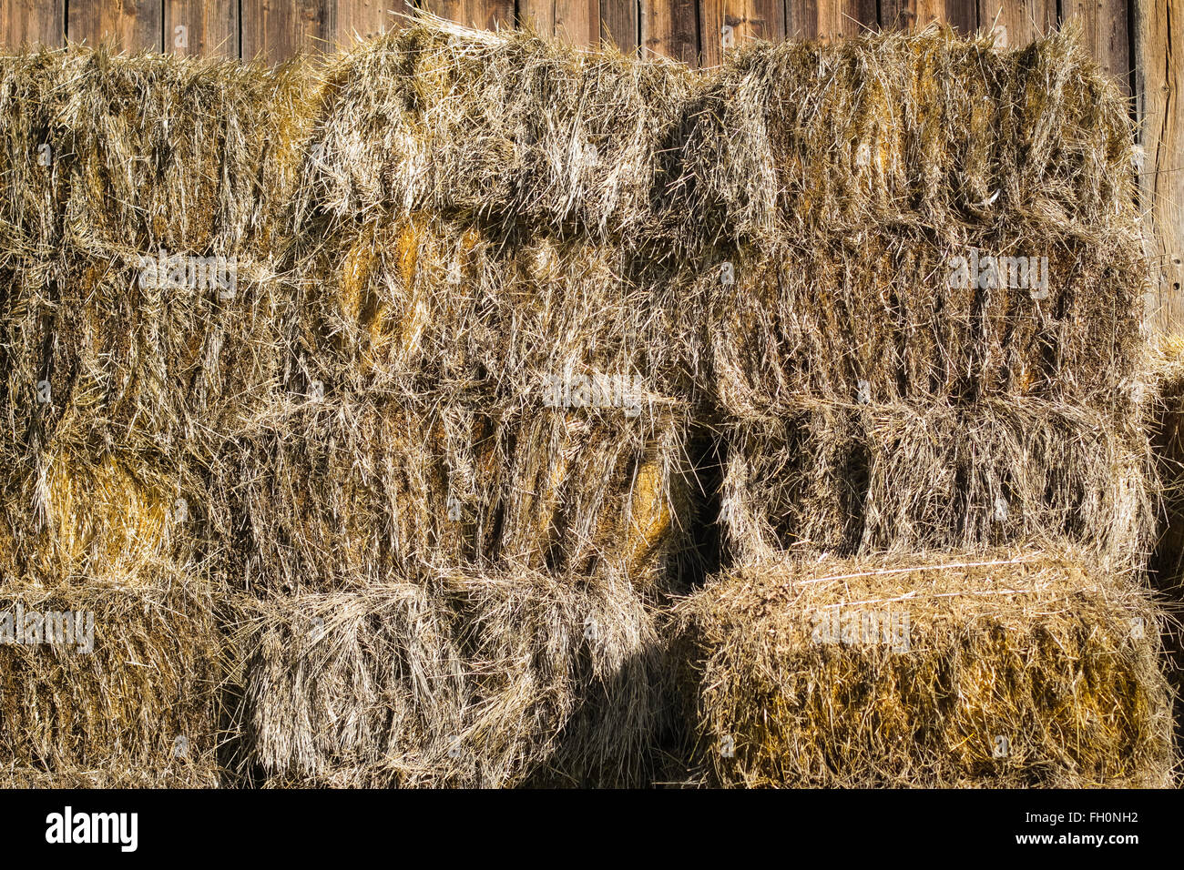 Barn Grass Stock Photos & Barn Grass Stock Images - Alamy