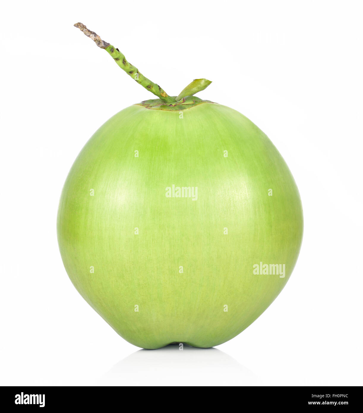 Green coconut Fruit isolated on white background Stock Photo - Alamy