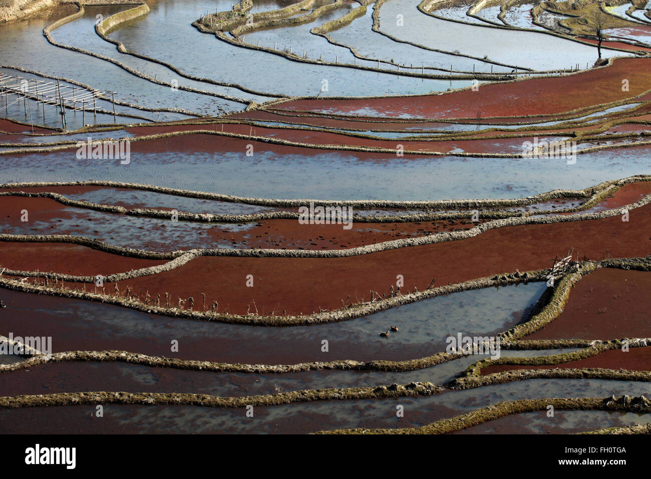 Yuanyang, China. 23rd Feb, 2016. Yuanyang County is located in Honghe ...