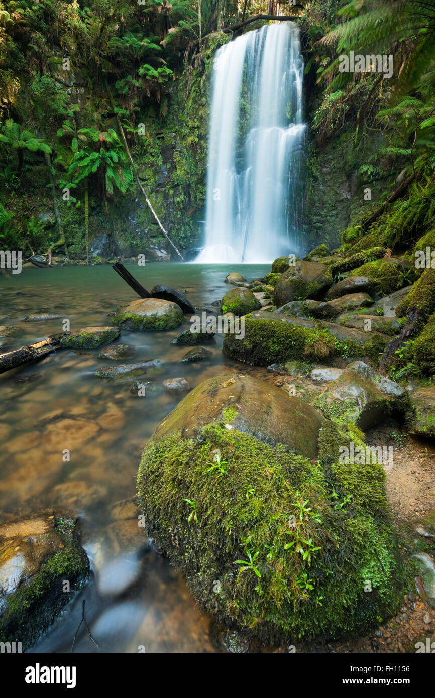 A beautiful temperate rainforest with waterfalls. The Beauchamp Falls ...