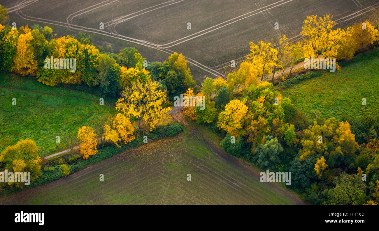 Autumn country roads dirt road hi-res stock photography and images - Alamy