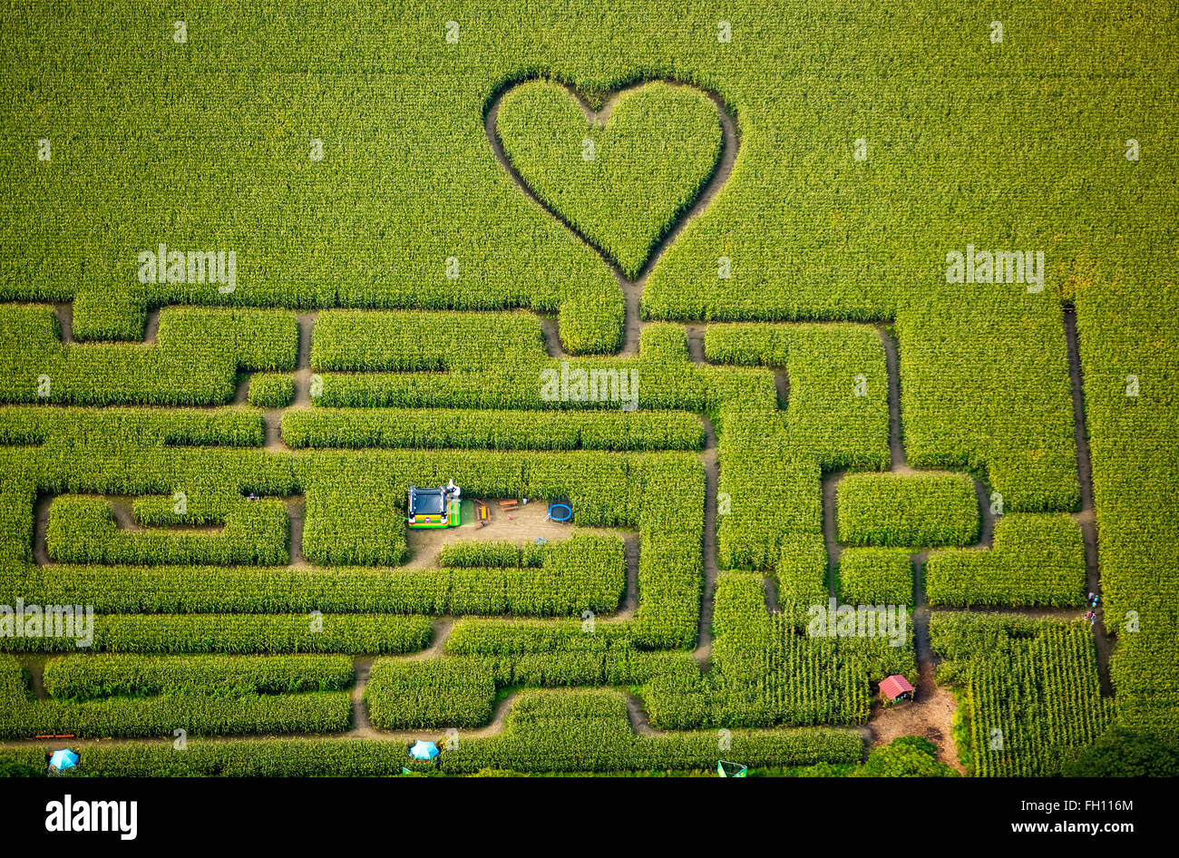 Labyrinth with a heart in the cornfield, corn maze, green heart, heart ...