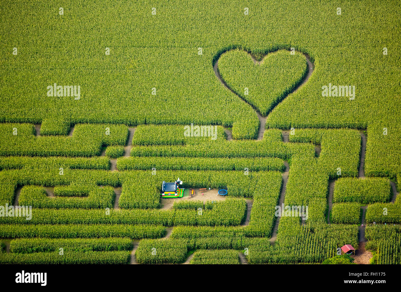 Corn maze hi-res stock photography and images - Alamy