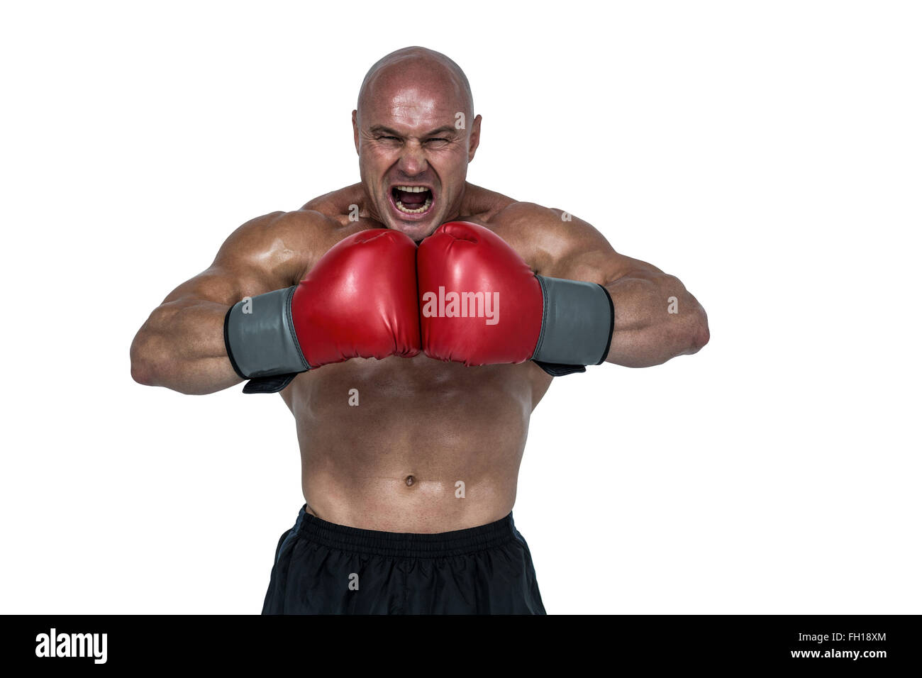 Aggressive boxer flexing muscles Stock Photo - Alamy