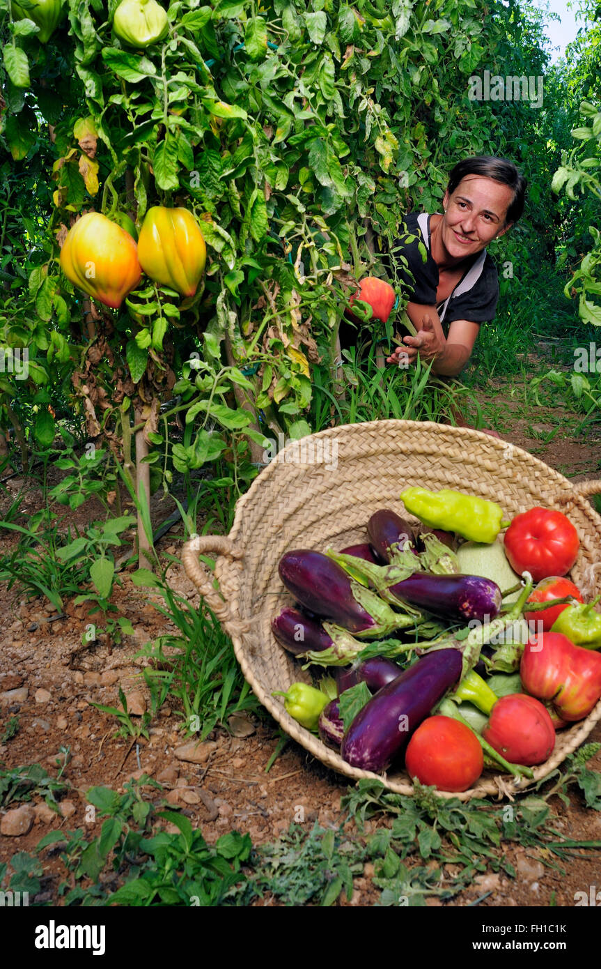 Ca na toneta mallorca hi-res stock photography and images - Alamy