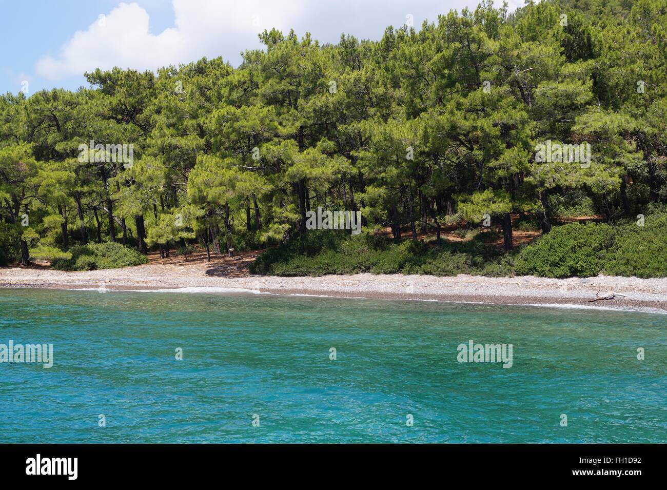 Forest scene at the beach taken from waterside in the Mediterranean off ...