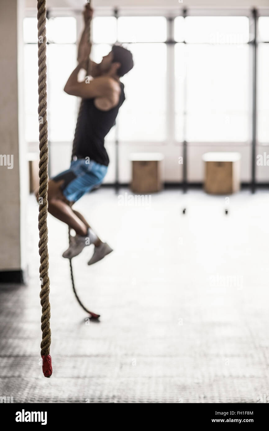 Young Bodybuilder climbing the ropes Stock Photo - Alamy