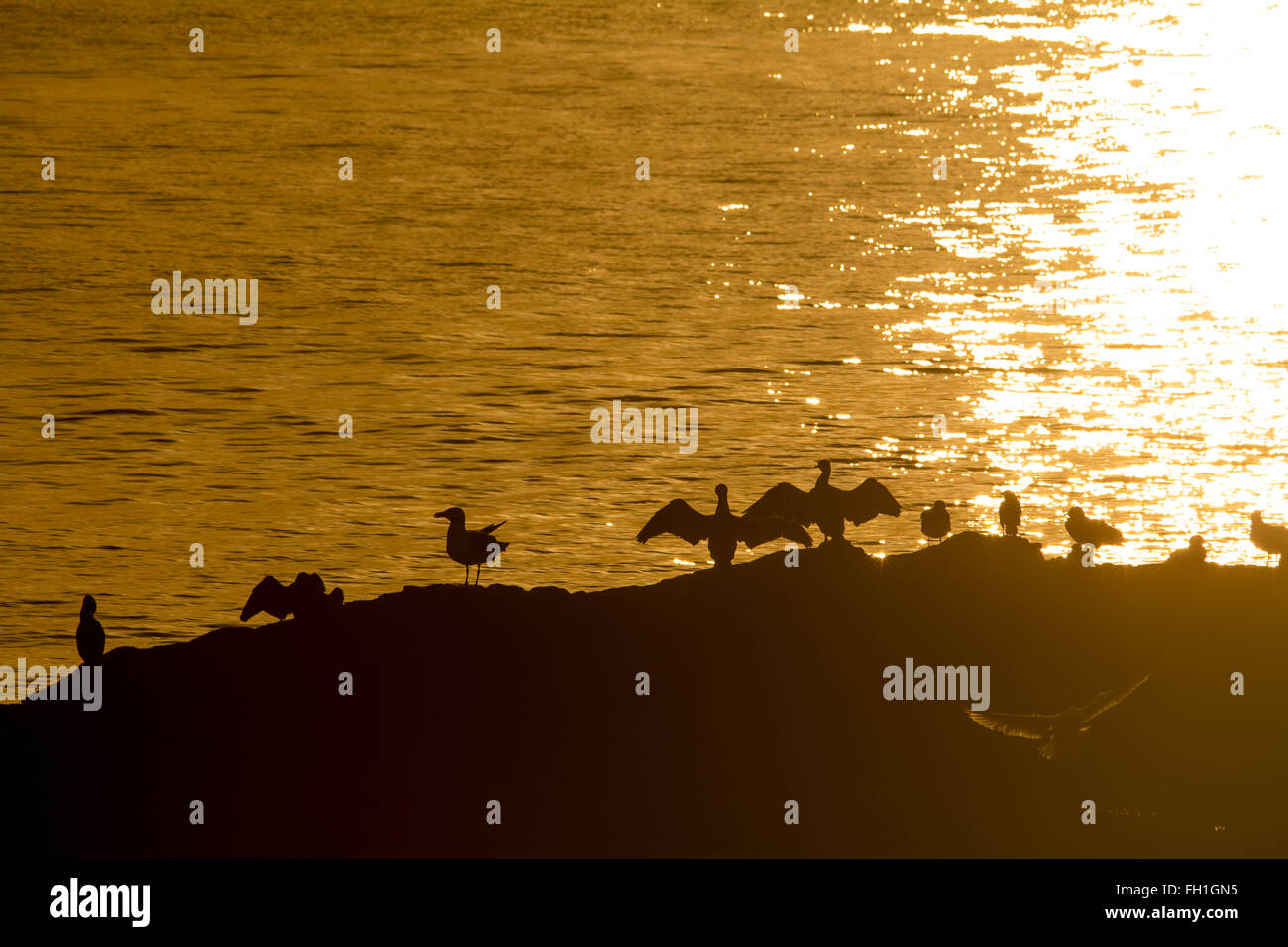 Battery Rocks, Penzance, Cornwall, UK. 23rd February 2016. UK Weather ...