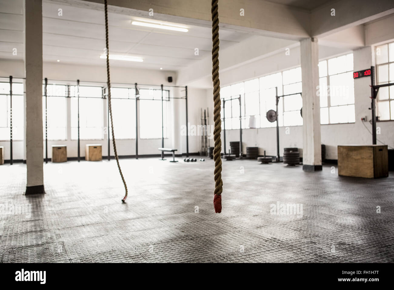 Exercise ropes hanging and equipment Stock Photo - Alamy