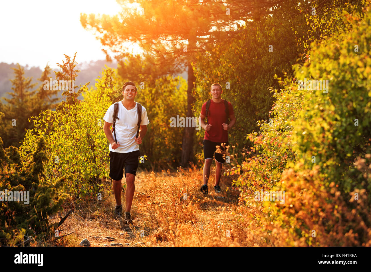 Two men are hiking in forest Stock Photo - Alamy