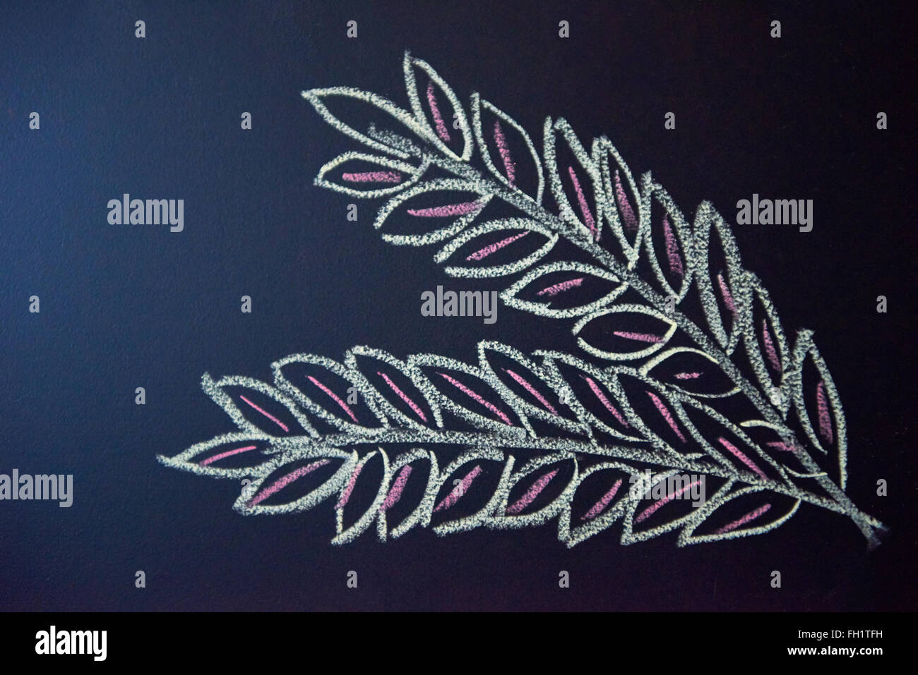 Chalkboard drawings hi-res stock photography and images - Alamy